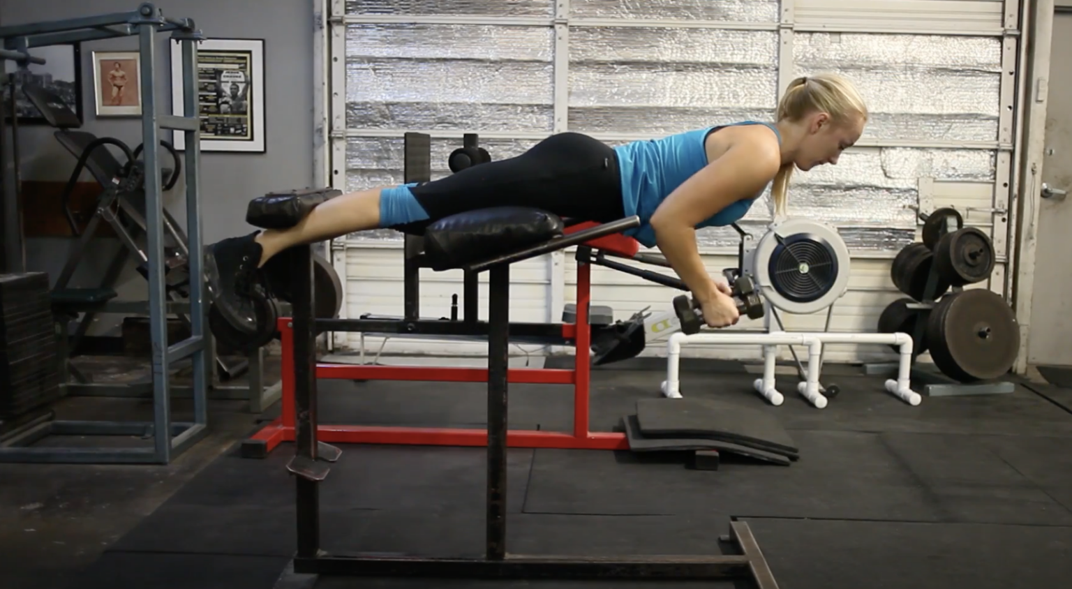 The Best Exercise Machines for Lower Back Strength - Alexander Training ...