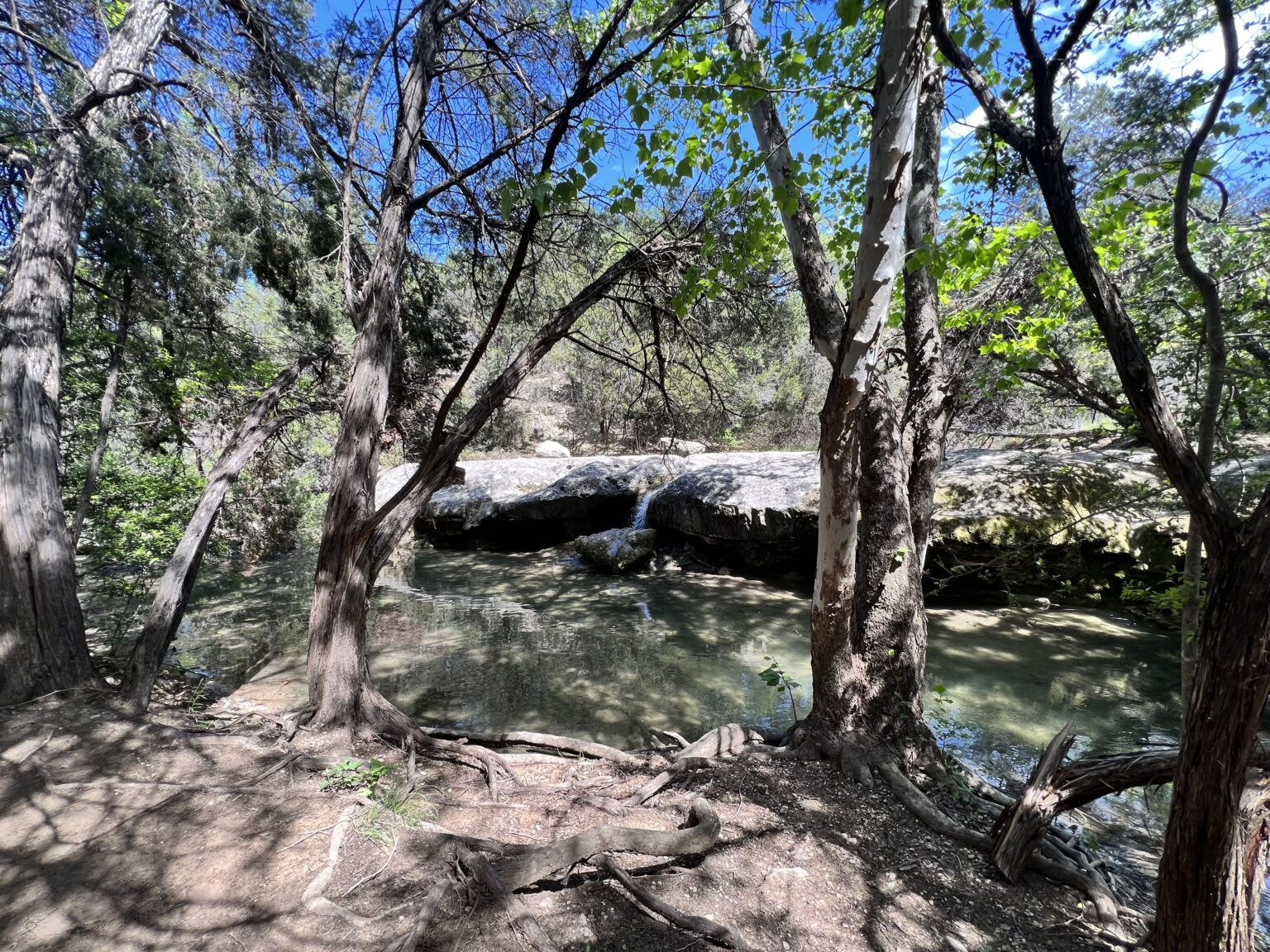 Austin Hiking Trails with Water (Summer 2024) - Alexander Training ...