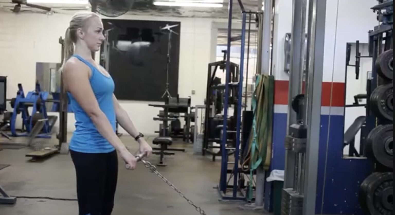 Cable Squats: Muscles Worked and How to do Them - Alexander Training - personal training in ...